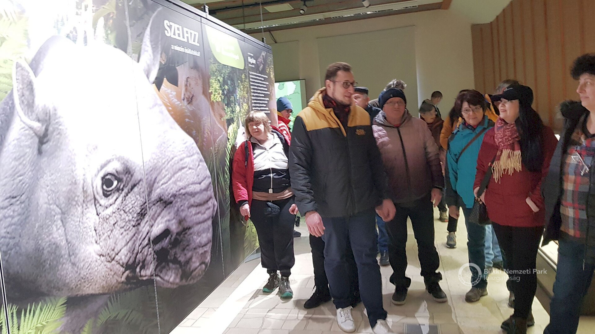 Téli hírek az ősi trópusokról - Hír - Bükki Nemzeti Park Igazgatóság
